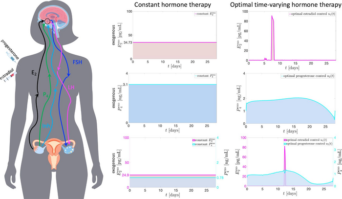 Model suggests lowering hormone doses in cont | EurekAlert!