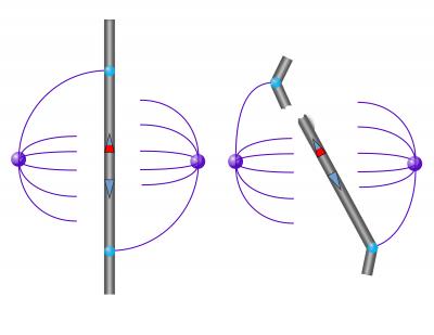 Breaking of Isodicentric Y Chr [IMAGE] | EurekAlert! Science News Releases