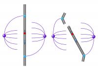 Breaking of Isodicentric Y Chr [IMAGE] | EurekAlert! Science News Releases