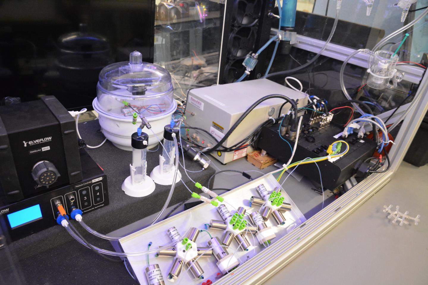 World's First Artificially Int [IMAGE] | EurekAlert! Science News Releases