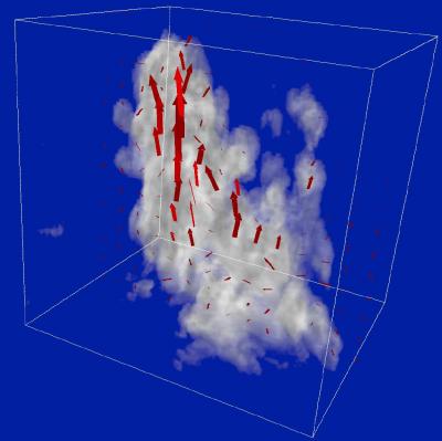 Cloud Model [IMAGE] | EurekAlert! Science News Releases