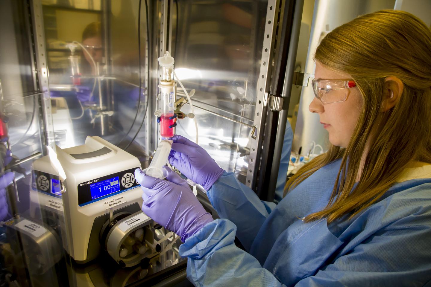 SwRI cell expansion research receives additio | EurekAlert!