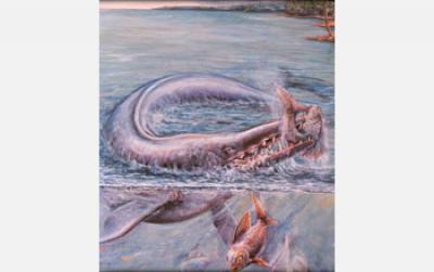 Restoration of Basilosaurus [IMAGE] | EurekAlert! Science News Releases