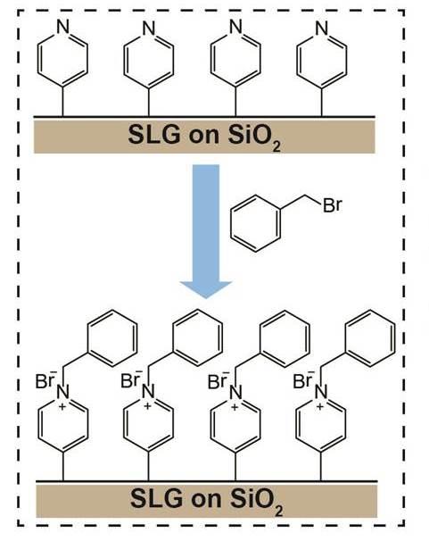 Functionalized Graphene Allows [IMAGE] | EurekAlert! Science News Releases