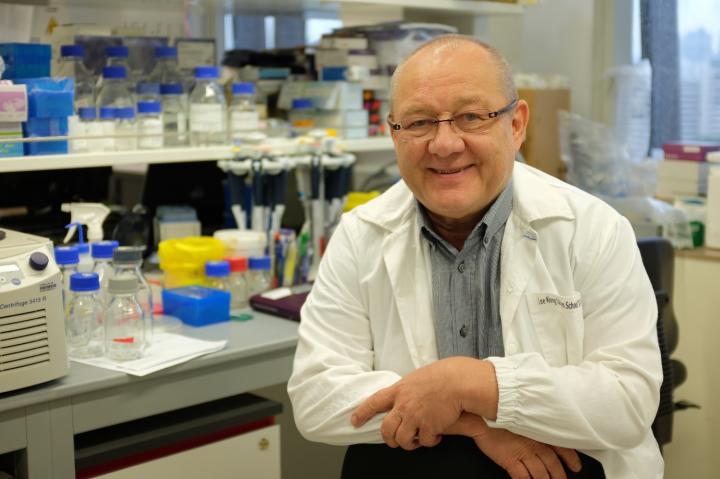 Professor Sven Pettersson from [IMAGE] | EurekAlert! Science News Releases