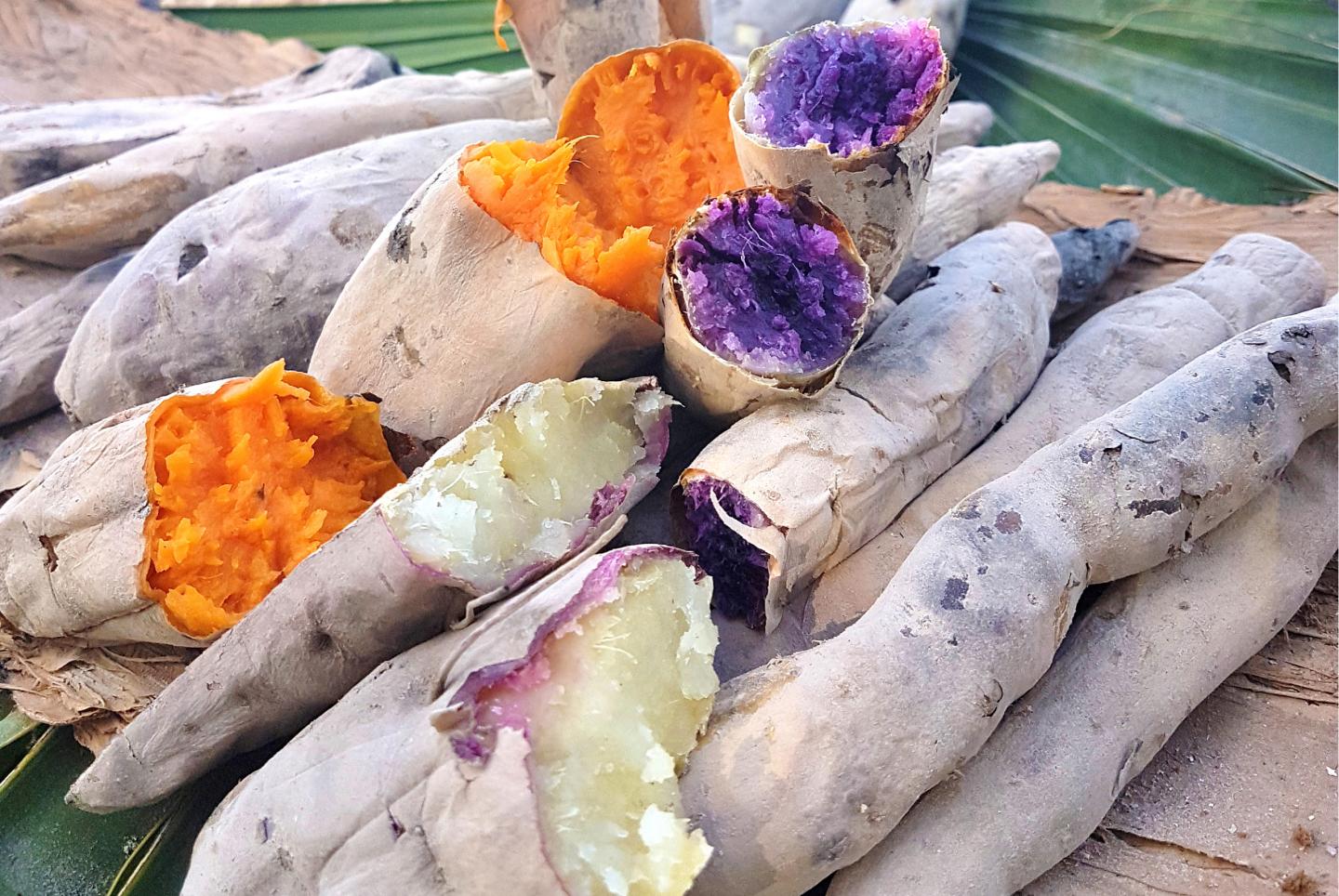 Yams [IMAGE] | EurekAlert! Science News Releases