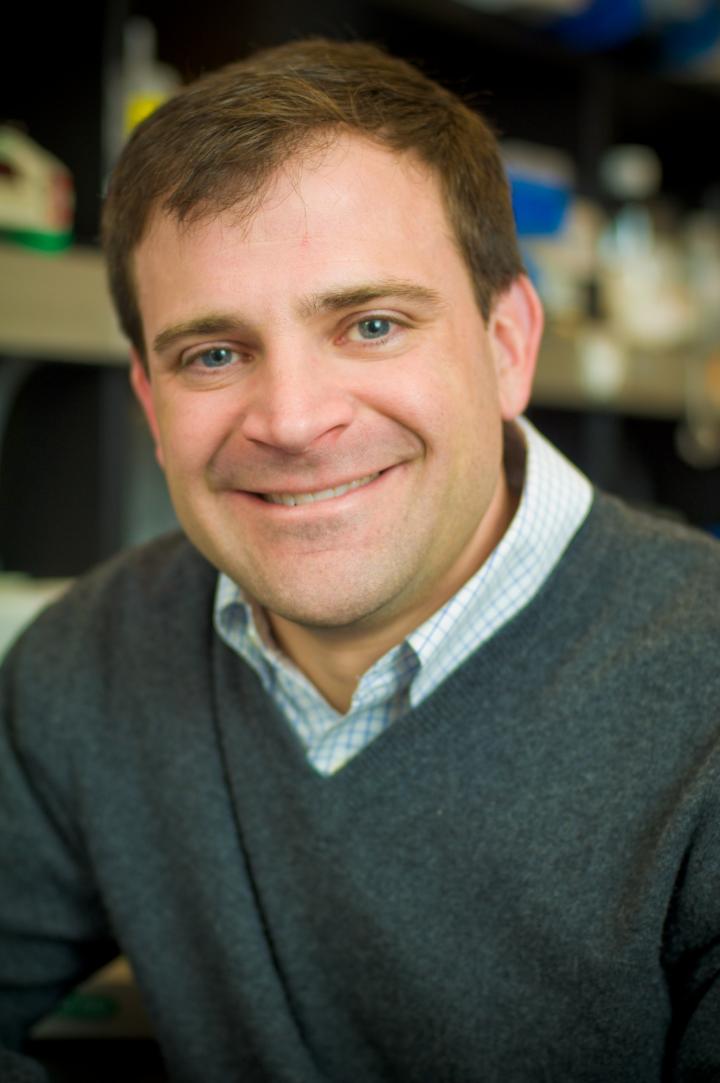 David Weinstock, Dana-Farber C [IMAGE] | EurekAlert! Science News Releases