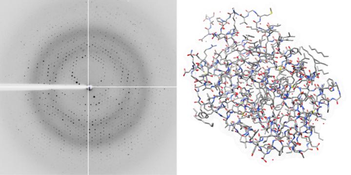 X-Ray Diffraction Image [IMAGE] | EurekAlert! Science News Releases