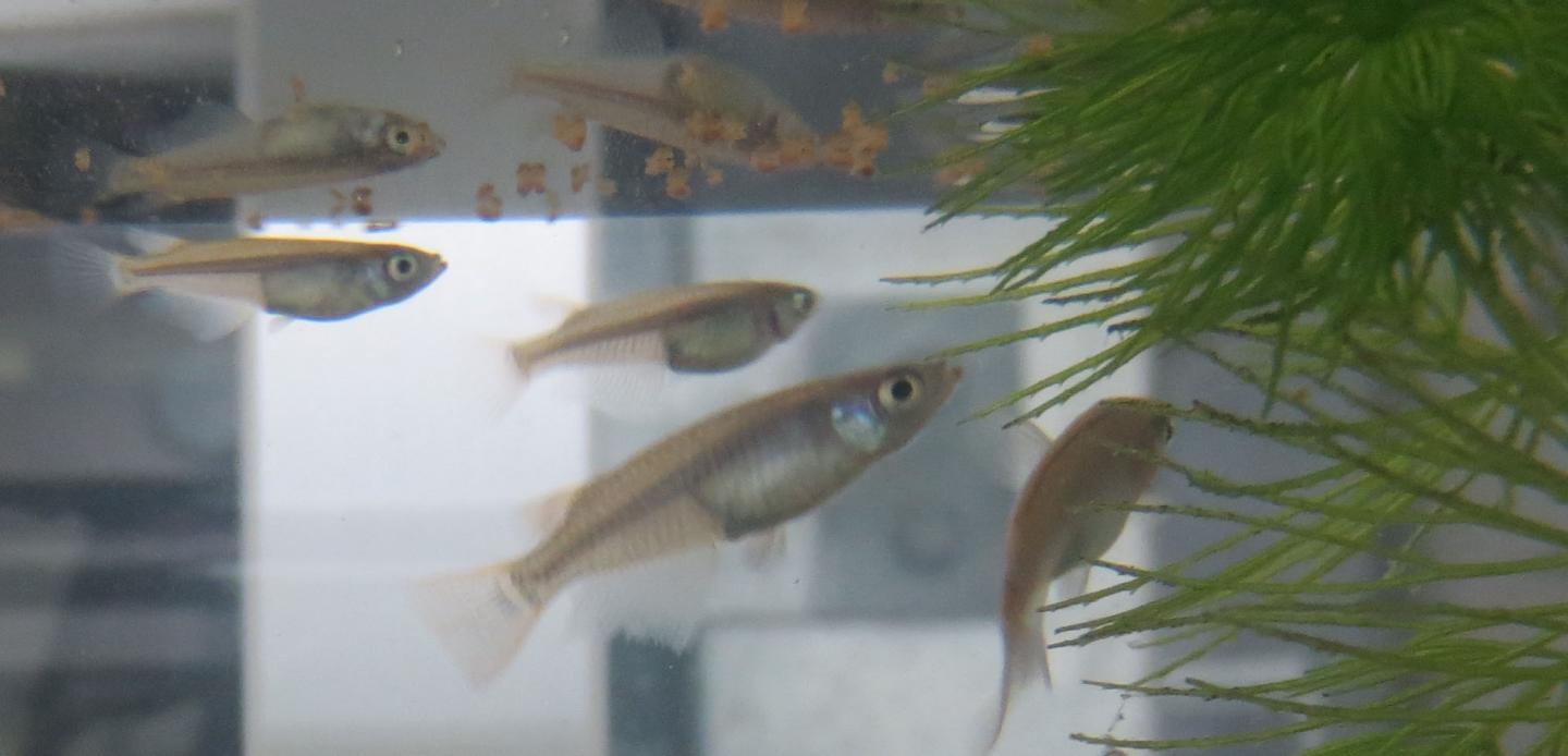 Gaining a better understanding of the way we | EurekAlert!