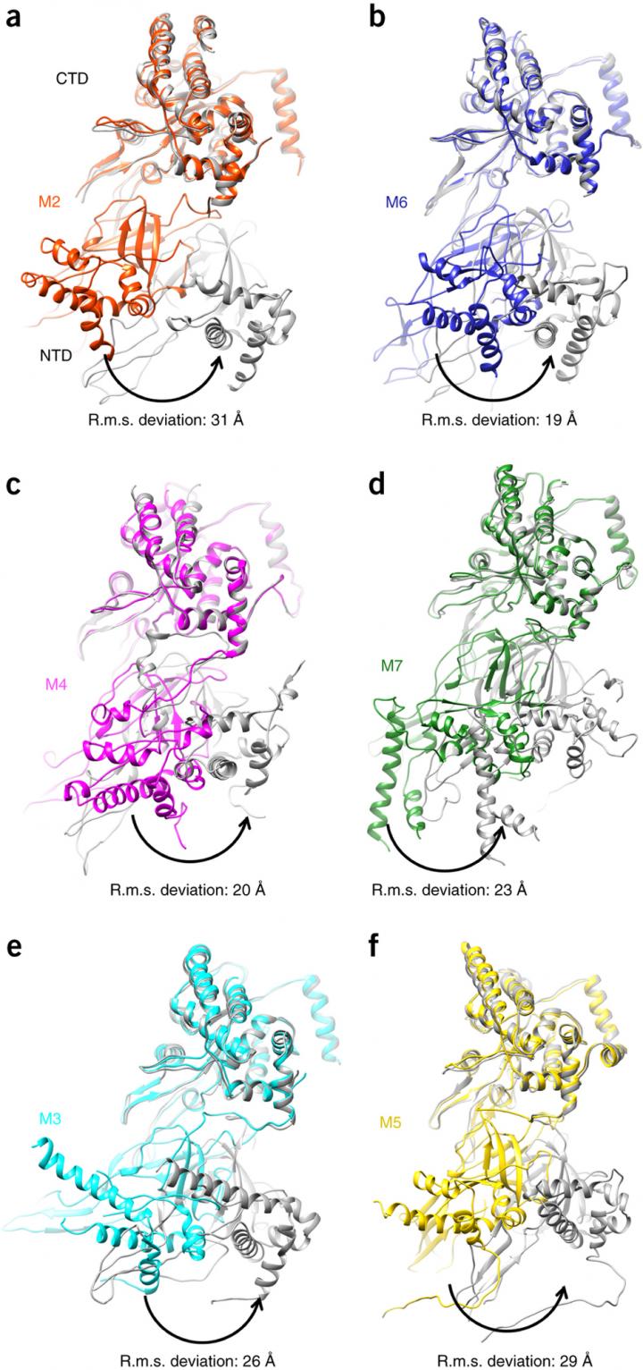 Conformational Changes of Indi [IMAGE] | EurekAlert! Science News Releases