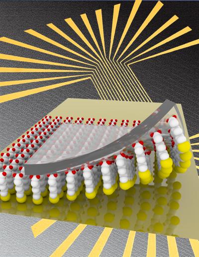 Rubber Stamp Lithography (2 of [IMAGE] | EurekAlert! Science News Releases