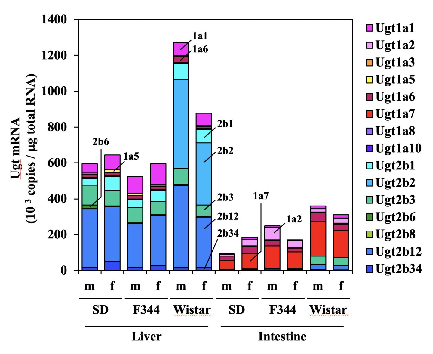 Xeno/endobiotic metabolism potencies vary bet | EurekAlert!