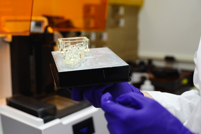 CORE Scientists Advance 3D Pri [IMAGE] | EurekAlert! Science News Releases