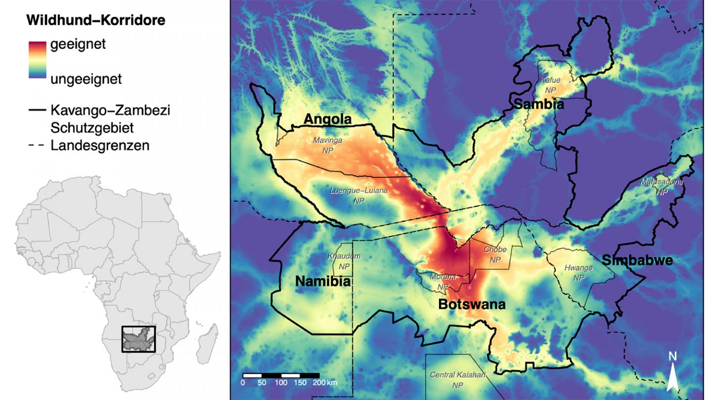 Graph Kaza [image] Eurekalert Science News Releases