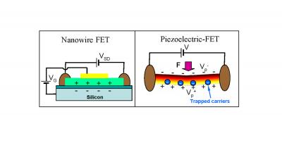Field Effect Transistor [IMAGE] | EurekAlert! Science News Releases