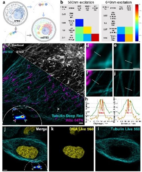 FIG 1 [IMAGE] | EurekAlert! Science News Releases