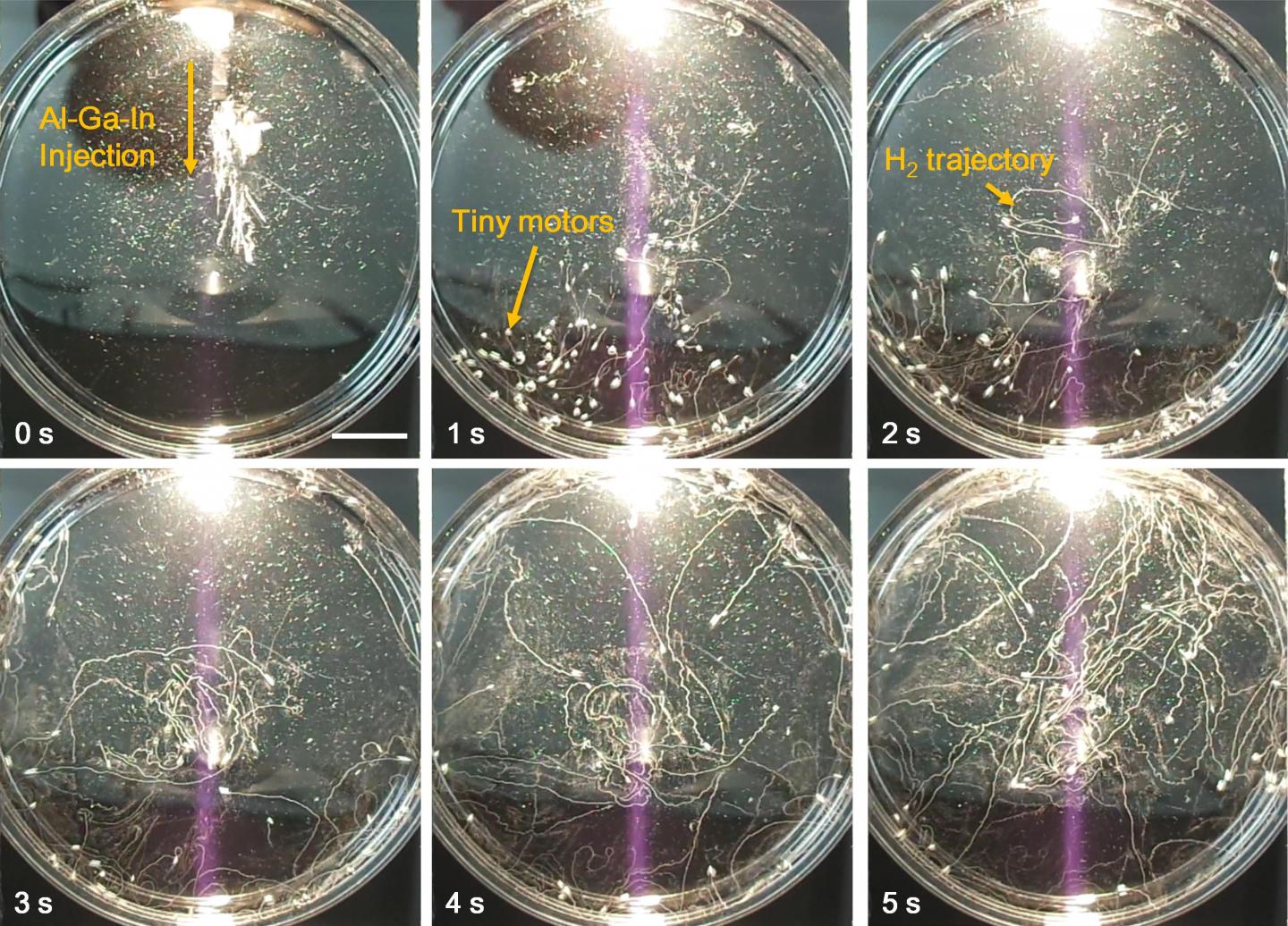 Hydrogen Bubble Tails [IMAGE] | EurekAlert! Science News Releases