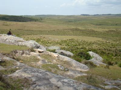 An Earlier Appearance of Bilat [IMAGE] | EurekAlert! Science News Releases