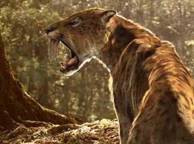 The Extinct Saber-Toothed Cat [IMAGE] | EurekAlert! Science News Releases
