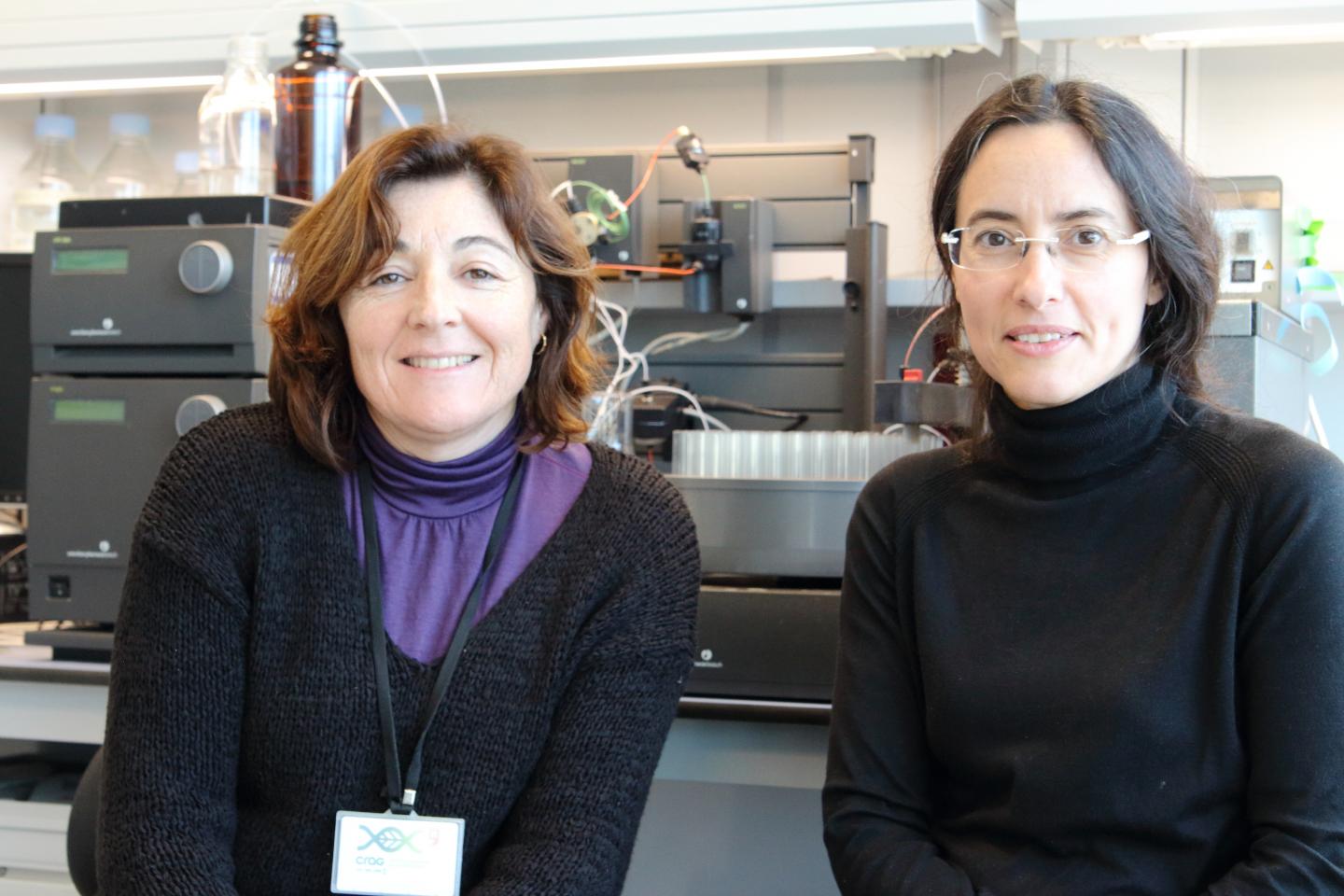 Senior Researchers [IMAGE] | EurekAlert! Science News Releases