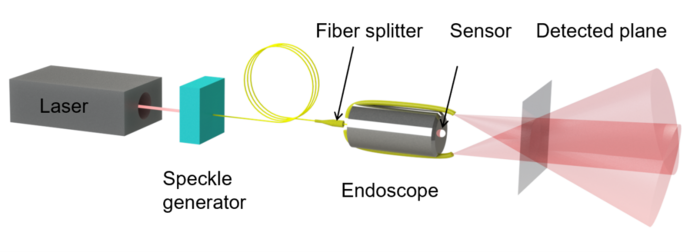 Speckle structured illumination endoscopy | EurekAlert!