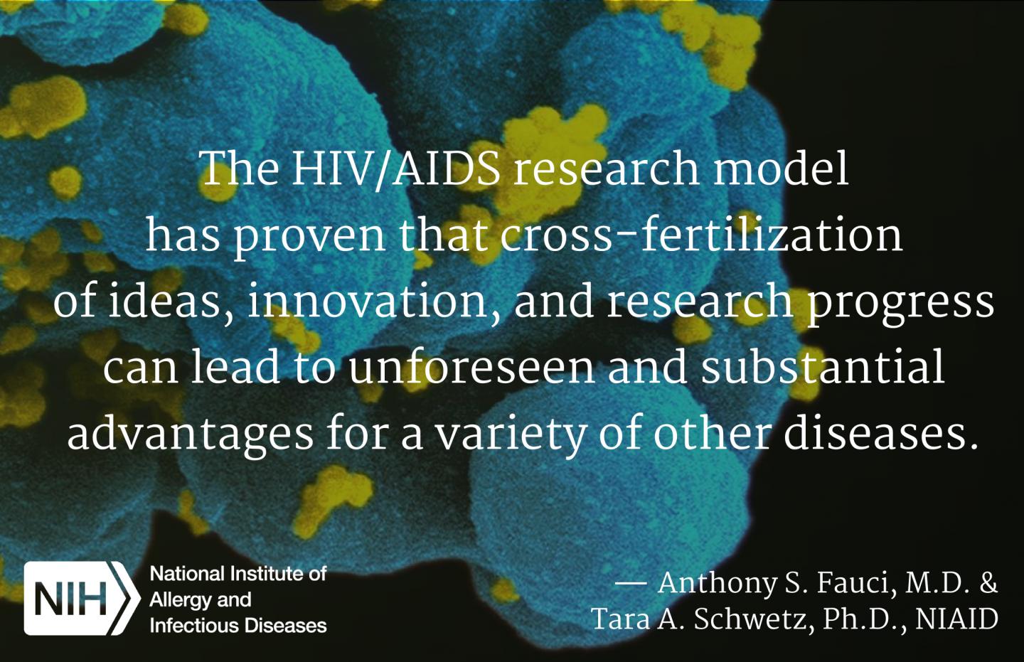 Excerpt from a Journal of [IMAGE] | EurekAlert! Science News Releases