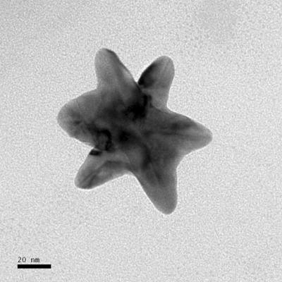 Nanostar [IMAGE] | EurekAlert! Science News Releases