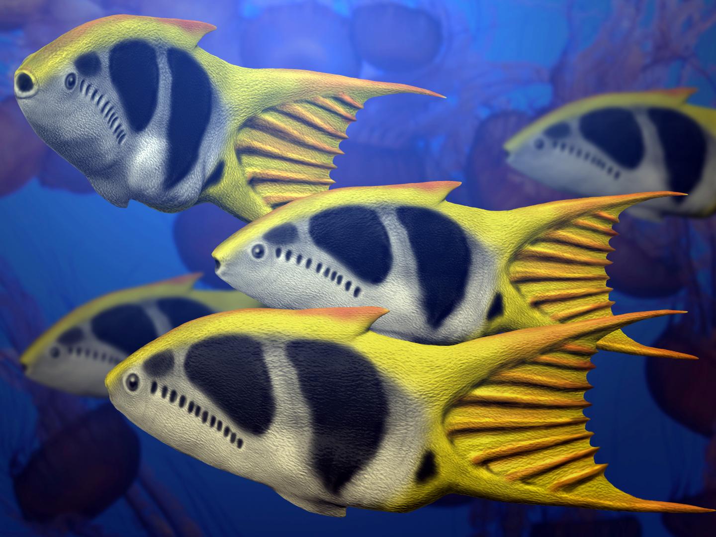 The Shallow-Water Cradle of Vertebrate Evolut | EurekAlert!