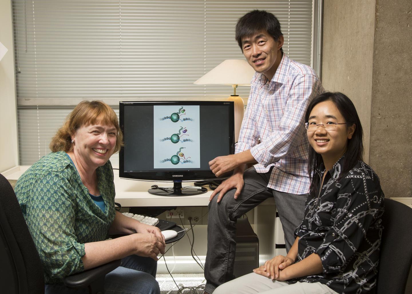 Scientists in the Jones Lab, S [IMAGE] | EurekAlert! Science News Releases