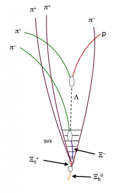 Neutral Xi-sub-b Decay Chain [IMAGE] | EurekAlert! Science News Releases