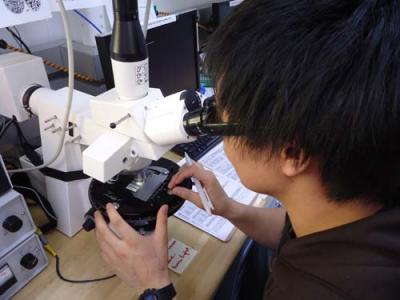Drilling Into the History of a [IMAGE] | EurekAlert! Science News Releases