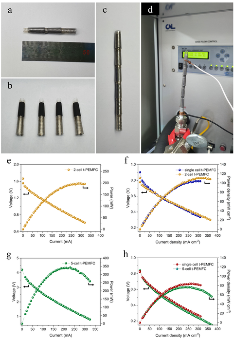 Figure 2 [IMAGE] | EurekAlert! Science News Releases