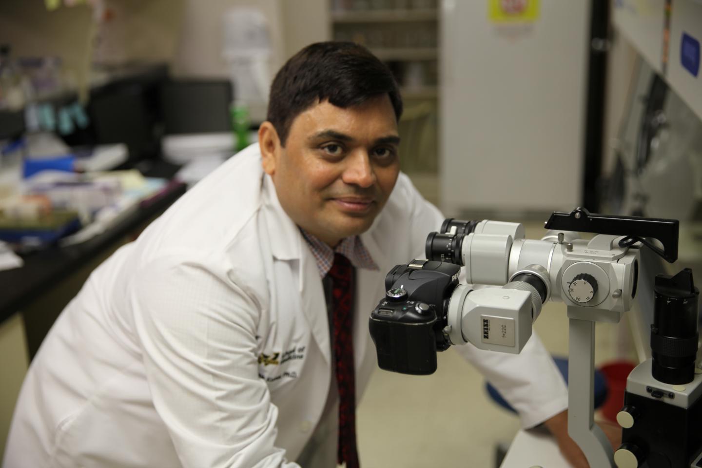 Dr. Ashok Kumar, Wayne State U [IMAGE] | EurekAlert! Science News Releases