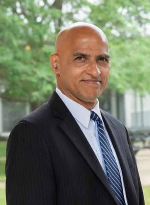 Palanki [IMAGE] | EurekAlert! Science News Releases