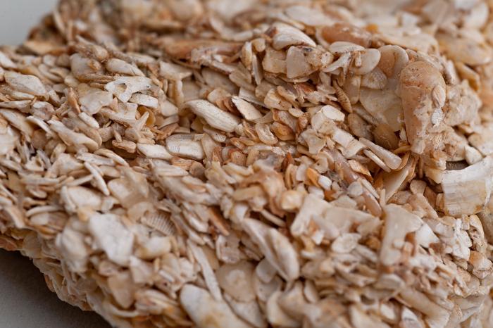 Image 1 [IMAGE] | EurekAlert! Science News Releases