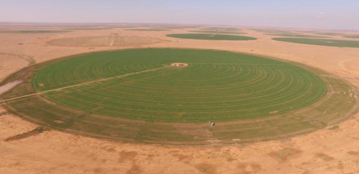 Arid agriculture [IMAGE] | EurekAlert! Science News Releases