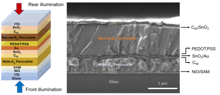 Bifacial monolithic all-perovskite tandem sol | EurekAlert!