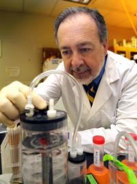 New cancer fighter may help ICU patients beat | EurekAlert!