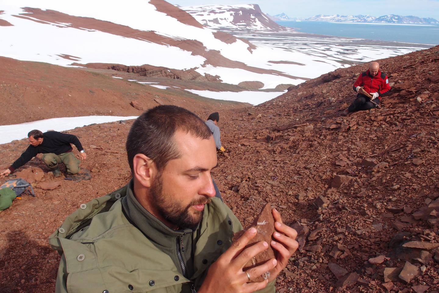 In the field [IMAGE] | EurekAlert! Science News Releases