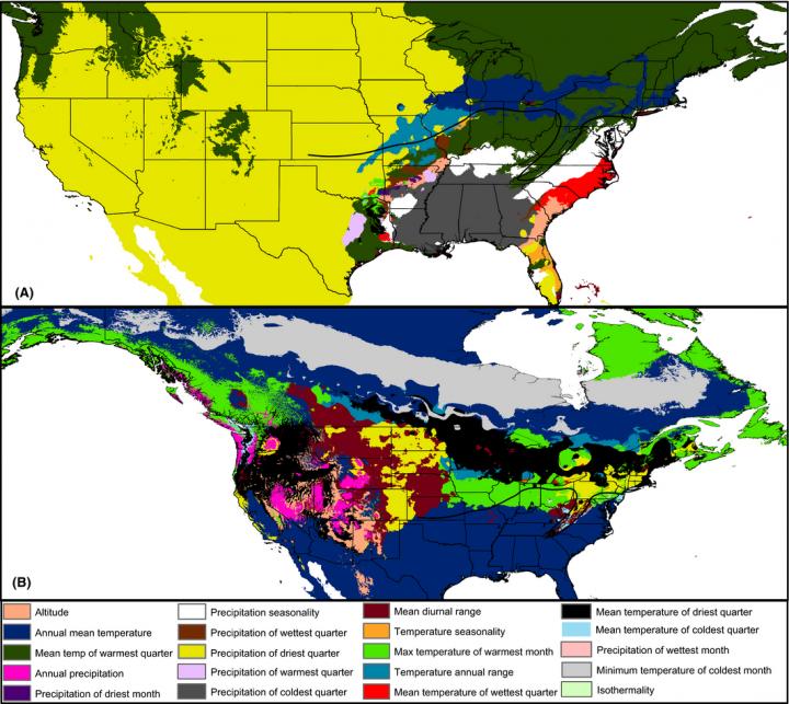 Limiting Factor Analysis [IMAGE] | EurekAlert! Science News Releases