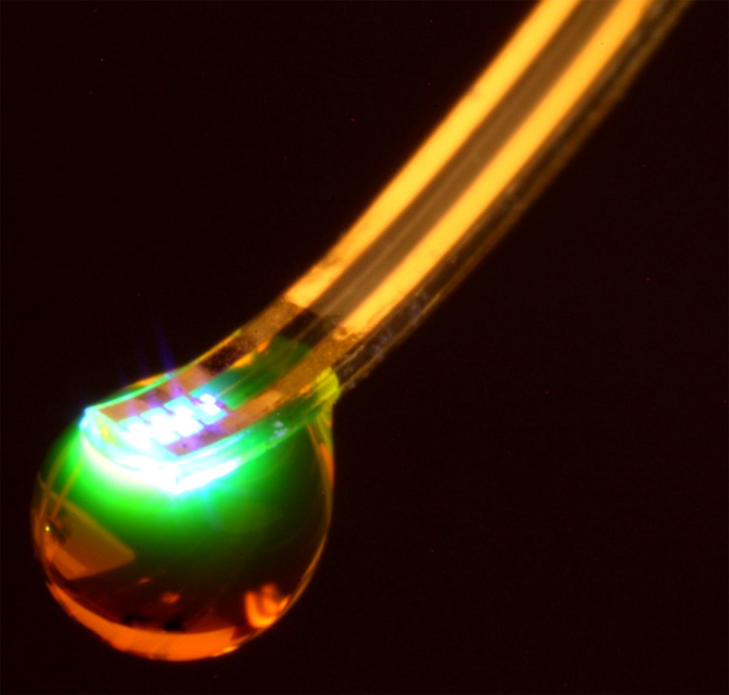 Mind Bending Probe [IMAGE] | EurekAlert! Science News Releases