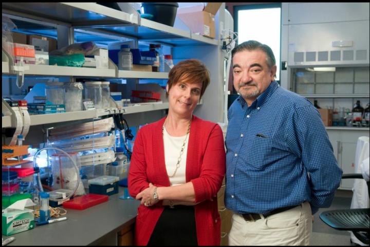 Jennifer Cochran and Amato Gia [IMAGE] | EurekAlert! Science News Releases