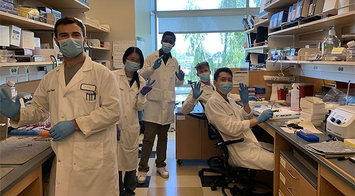 Varner Lab [IMAGE] | EurekAlert! Science News Releases