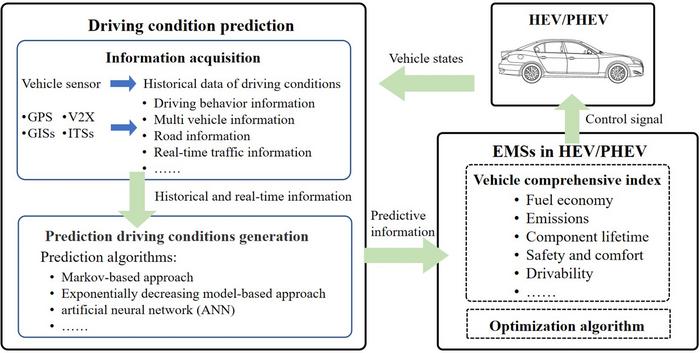 The framework of EMS in HEV/PH [IMAGE] | EurekAlert! Science News Releases