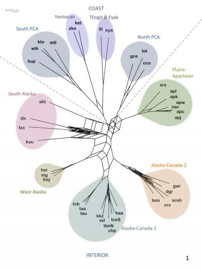 Language 'evolution' may shed light on human | EurekAlert!