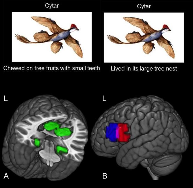 First Glimpse of New Concepts [IMAGE] | EurekAlert! Science News Releases