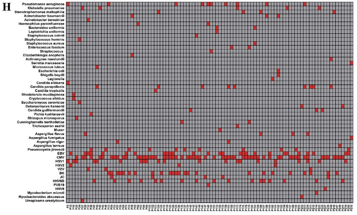 Common pathogens that infected [IMAGE] | EurekAlert! Science News Releases
