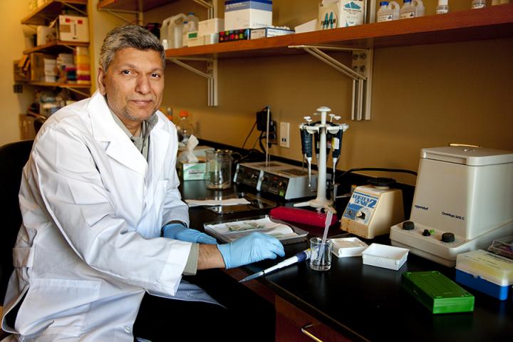 Pradeep Bhide, Florida State U [IMAGE] | EurekAlert! Science News Releases