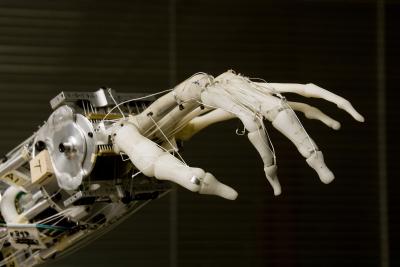 Prosthetic Hand [IMAGE] | EurekAlert! Science News Releases