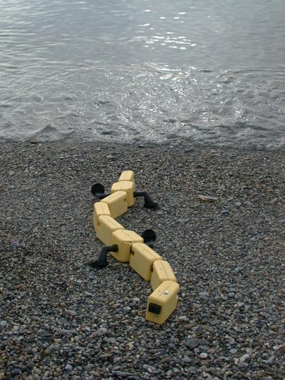 Novel salamander robot crawls its way up the | EurekAlert!